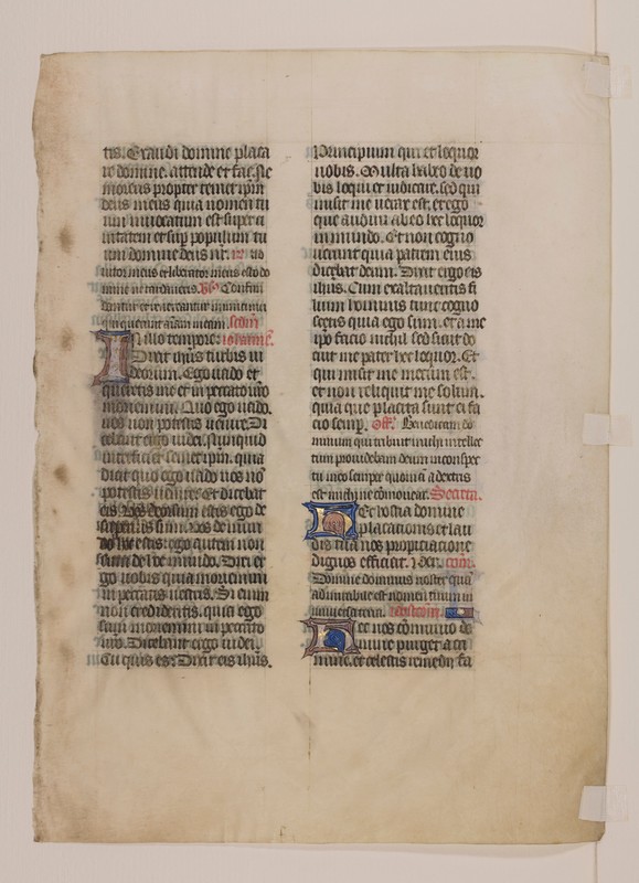 Stony Brook University Libraries Digital Projects and Exhibits · Leaf ...