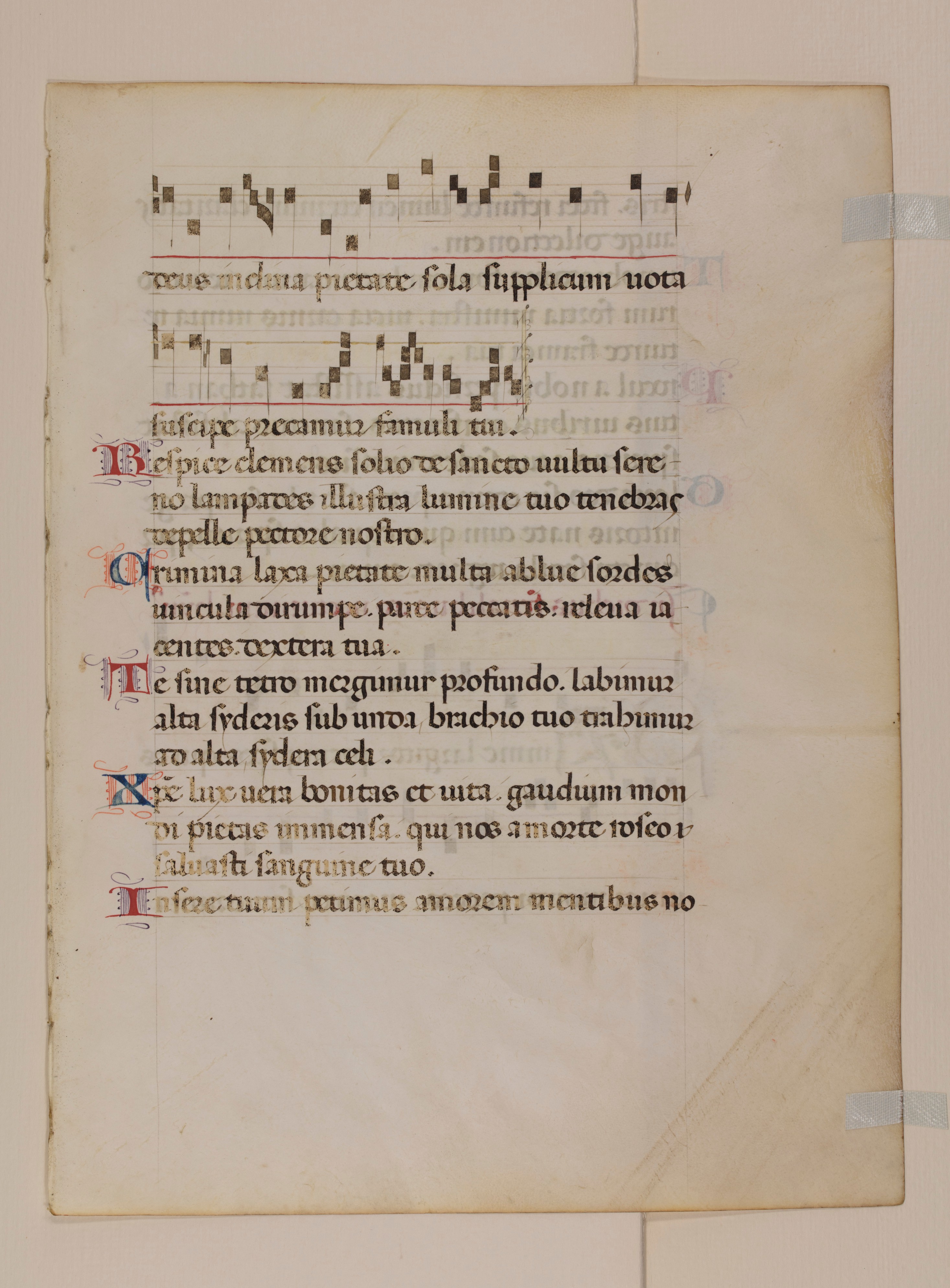 Stony Brook University Libraries Digital Projects and Exhibits · Leaf ...