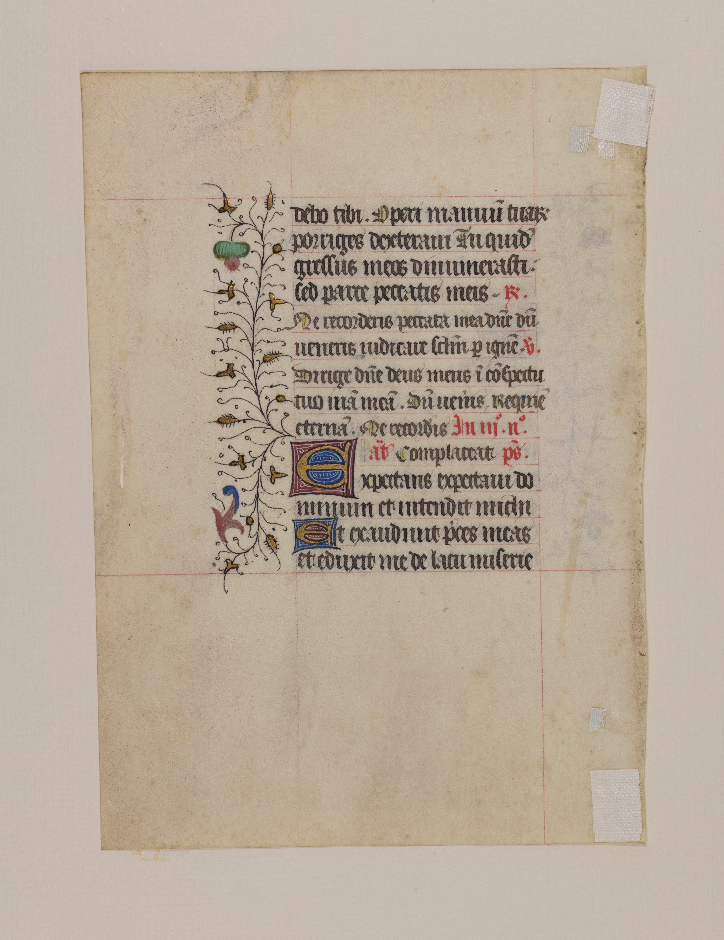 Stony Brook University Libraries Digital Projects and Exhibits · Leaf ...