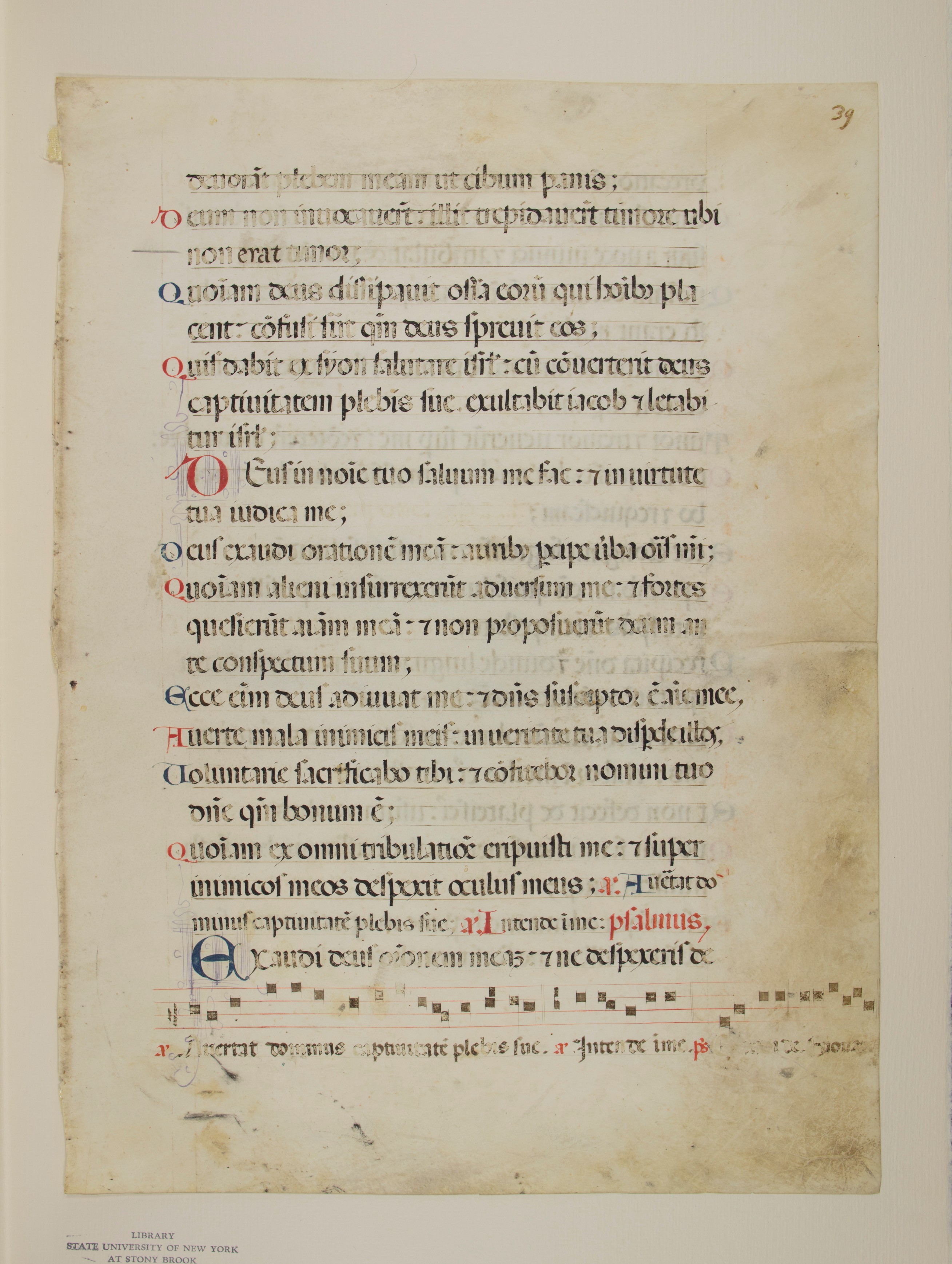 Stony Brook University Libraries Digital Projects and Exhibits · Leaf ...
